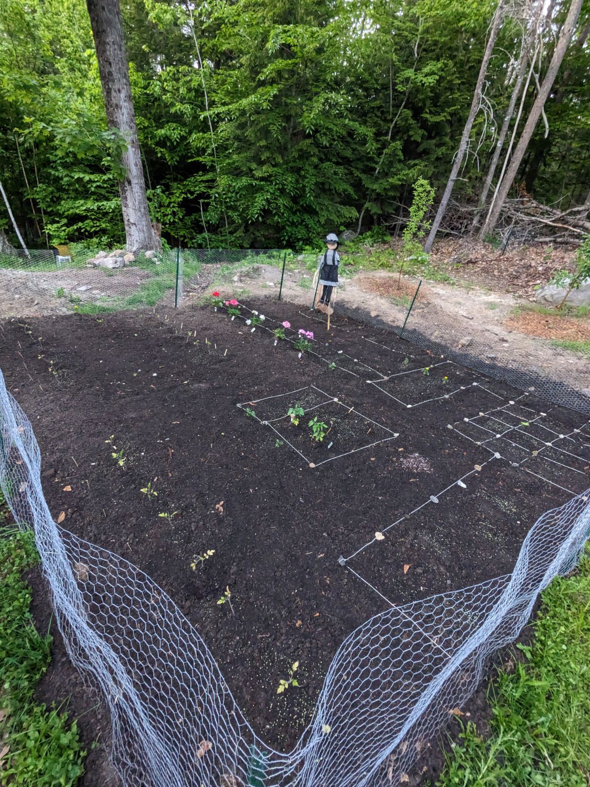 My Official Garden Layout » Shit's Not That Difficult